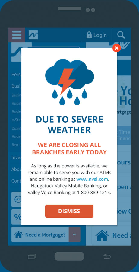 NVSL-Alerts - SwiftCricket Marketing